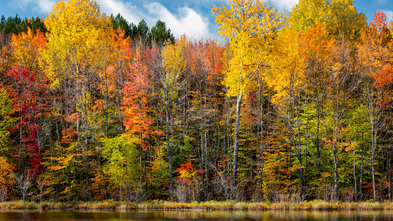 Michigan's Upper Peninsula Boasts A Lovely Coastal City With The State ...
