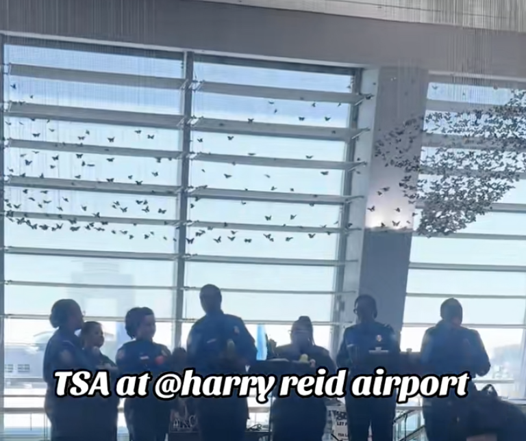 A Frustrated Traveler Filmed TSA Agents Singing Instead Of Helping Out ...