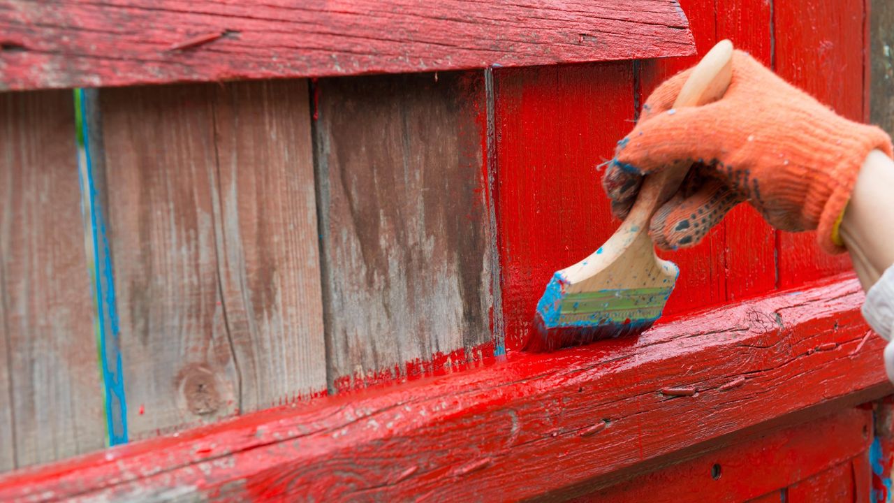 The ultimate guide to shared fences: Is it okay to paint your side of ...