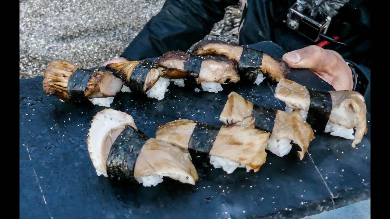 Foraging for wild mushrooms (Catch and Sushi Ep.3)