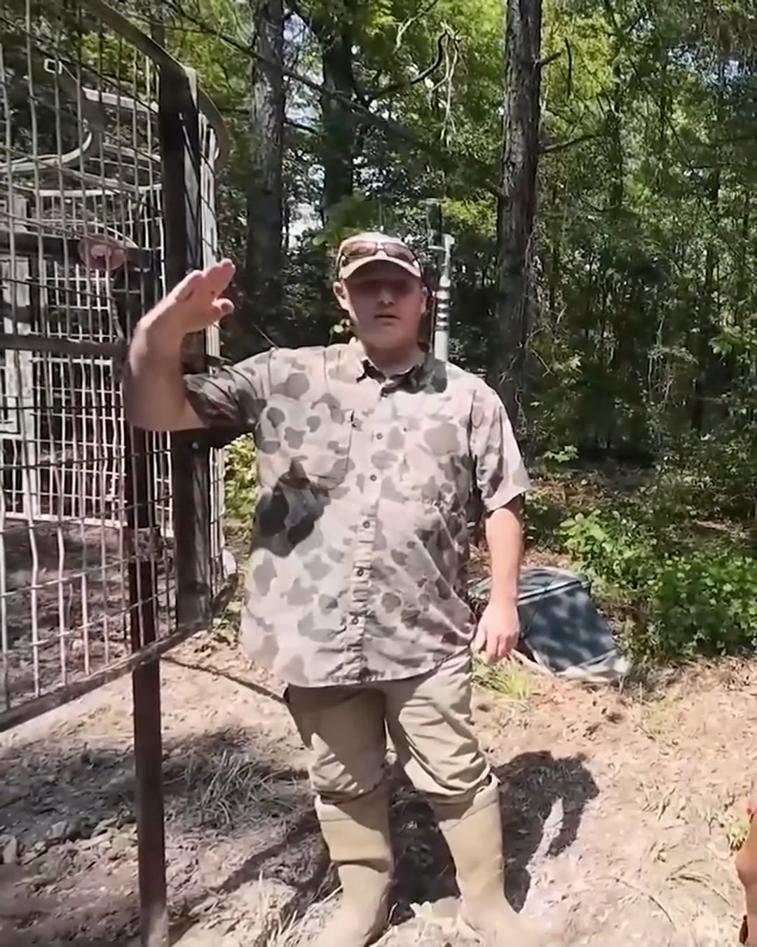 Twins Try Out a Hog Trap