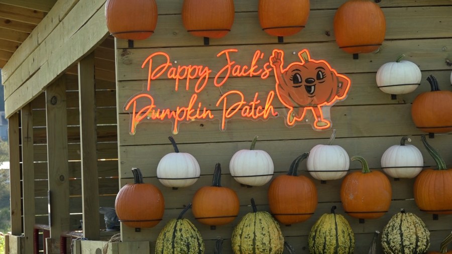 Pappy Jacks Pumpkin Patch opens for its first year