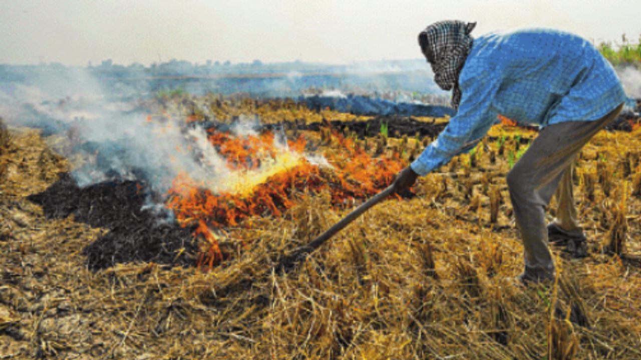 Foul air season: Farm fires start in north India; impact on Delhi ...