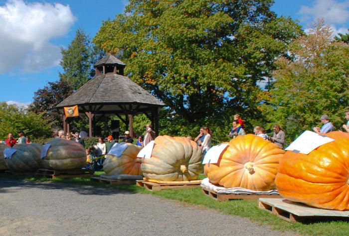 Best Halloween Events in Connecticut 2025 for Kids and Families