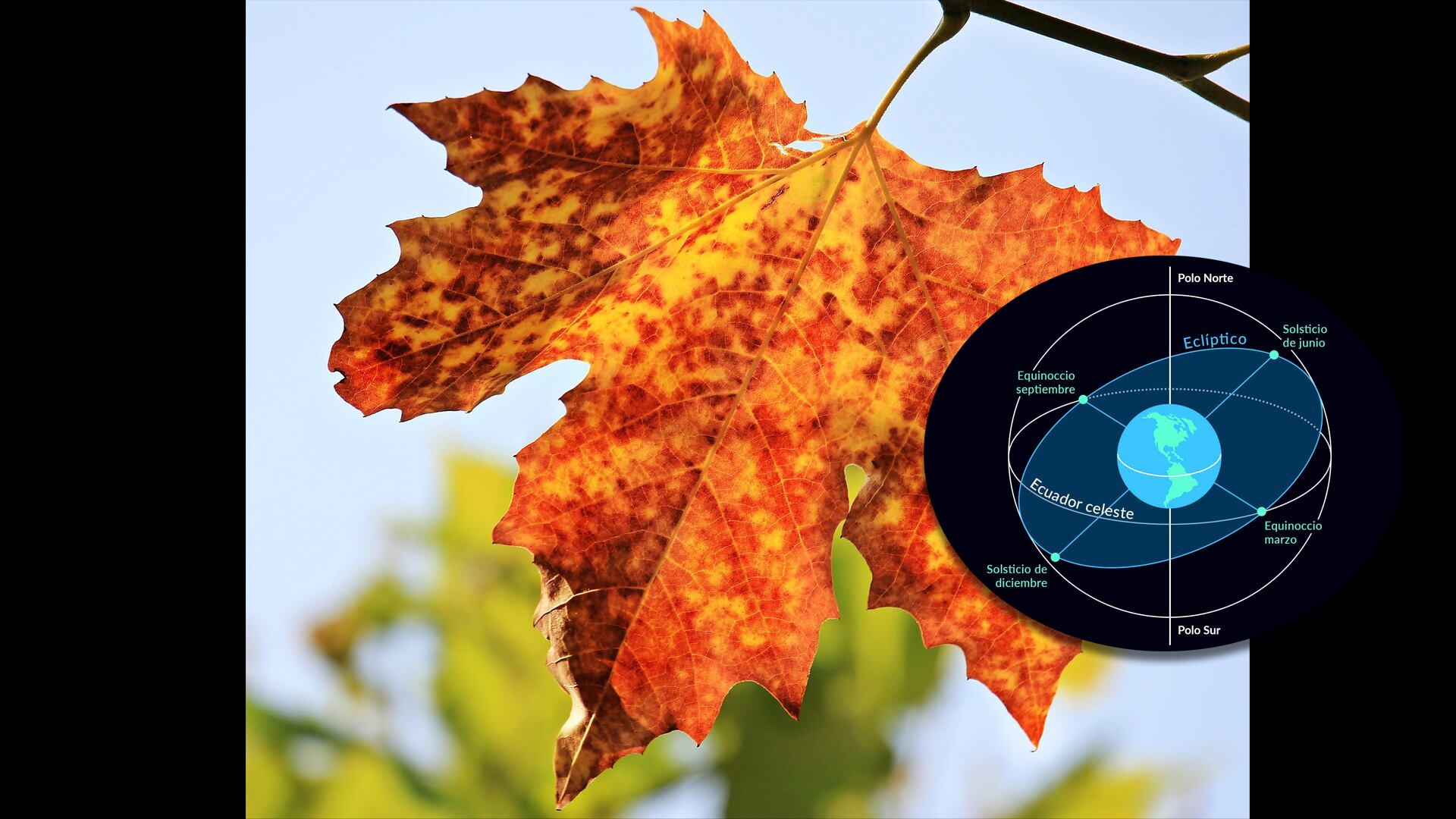 Termina el verano e inicia el otoño con equinoccio hoy lunes