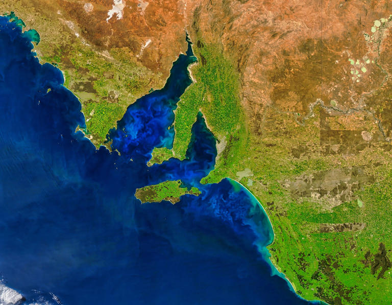 NASA Just Detected A Giant Glowing Ocean Creature On Satellite Images