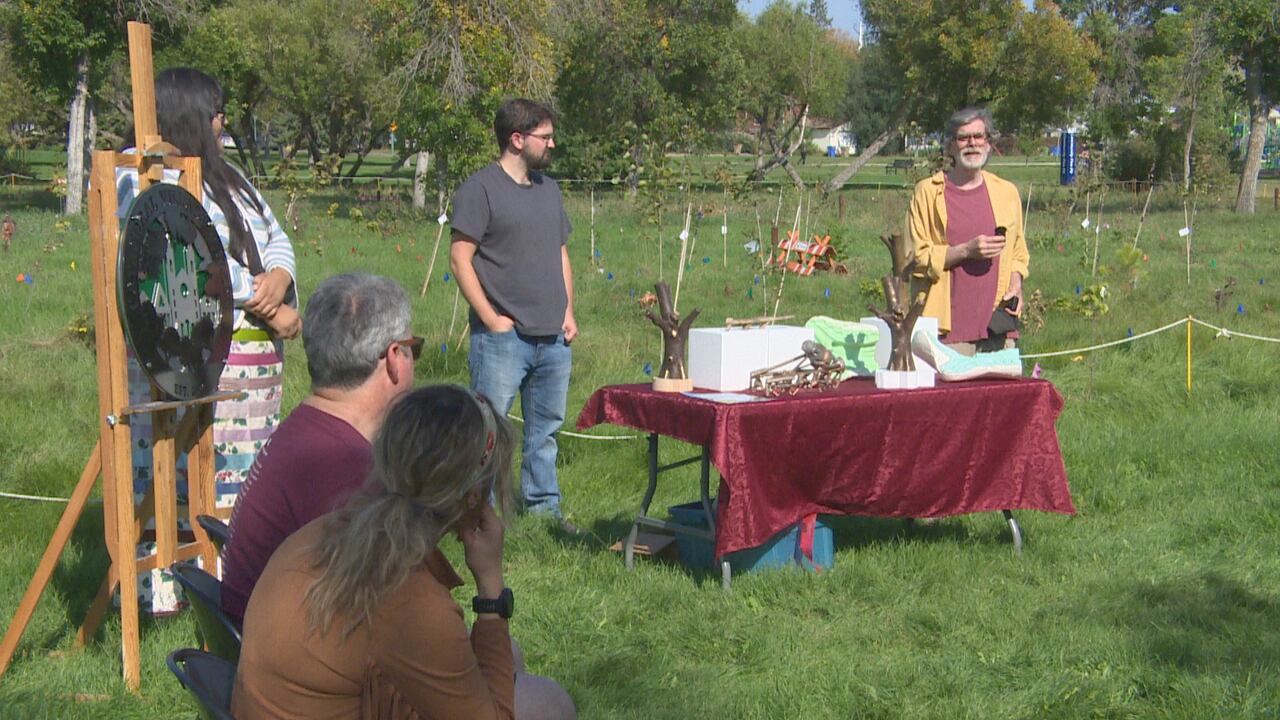 Regina's oldest tree, cut down in 2023, honoured with sculptures in Les ...
