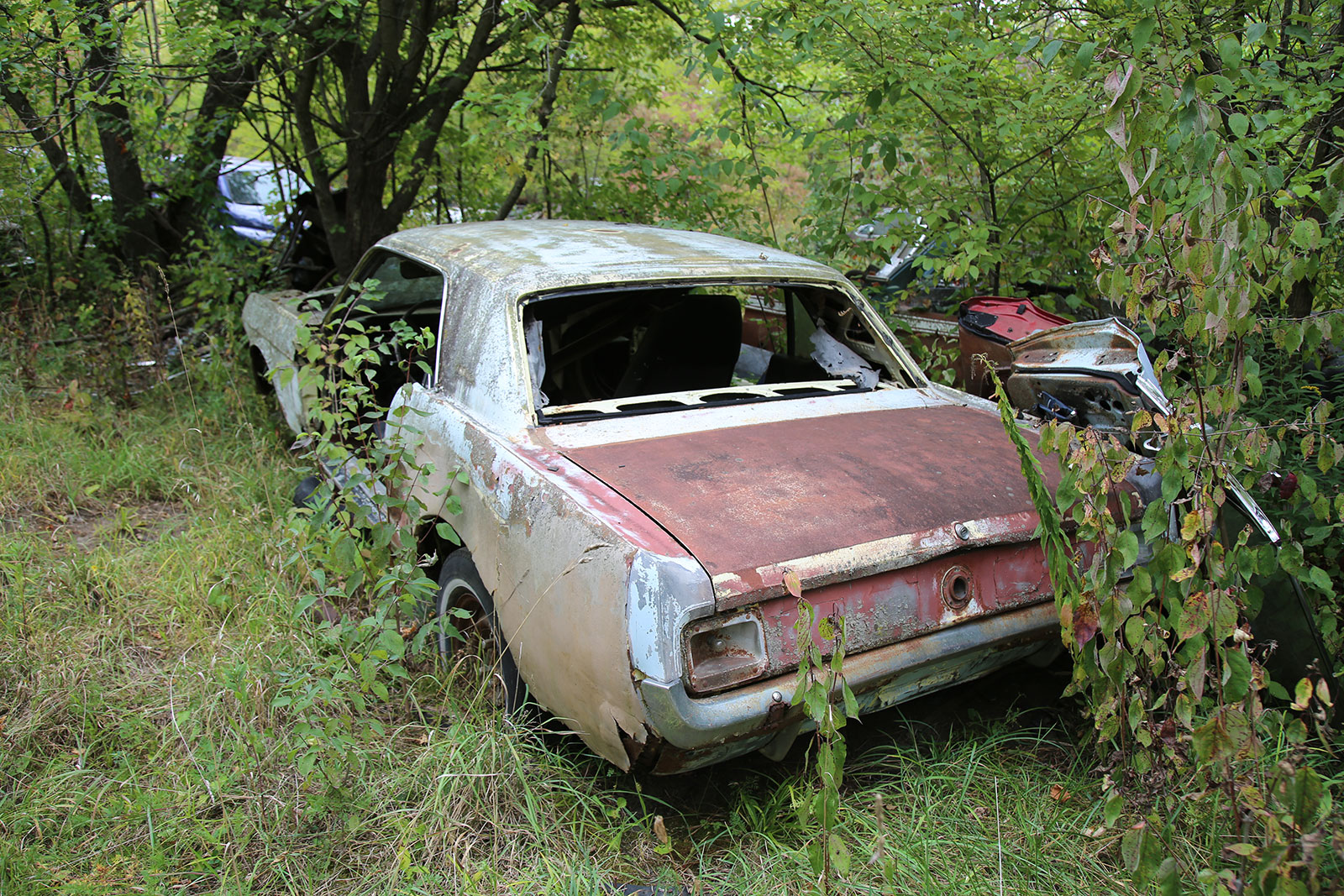 Junkyard Discoveries from Ron’s Auto Salvage in Allison, Iowa