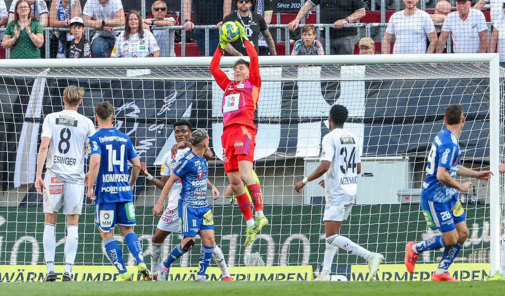 WAC-Keeper Nikolas Polster: „Rapid ist schon noch in meinem Herzen drin!"