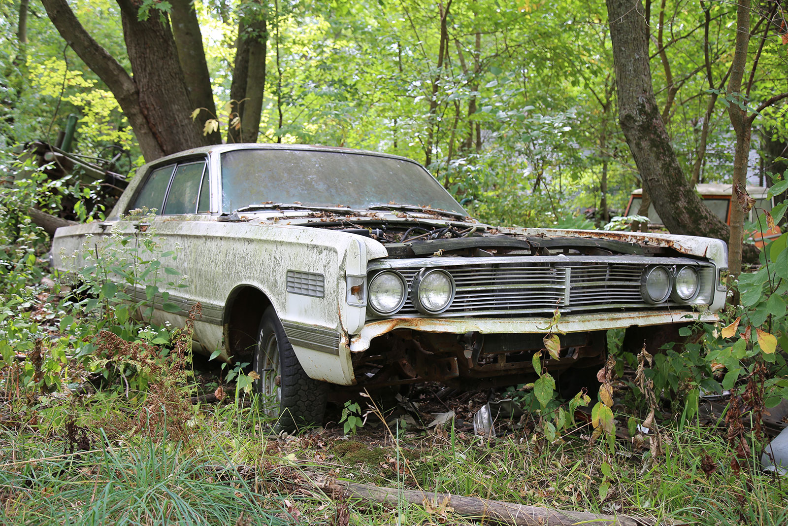 Junkyard Discoveries from Ron’s Auto Salvage in Allison, Iowa