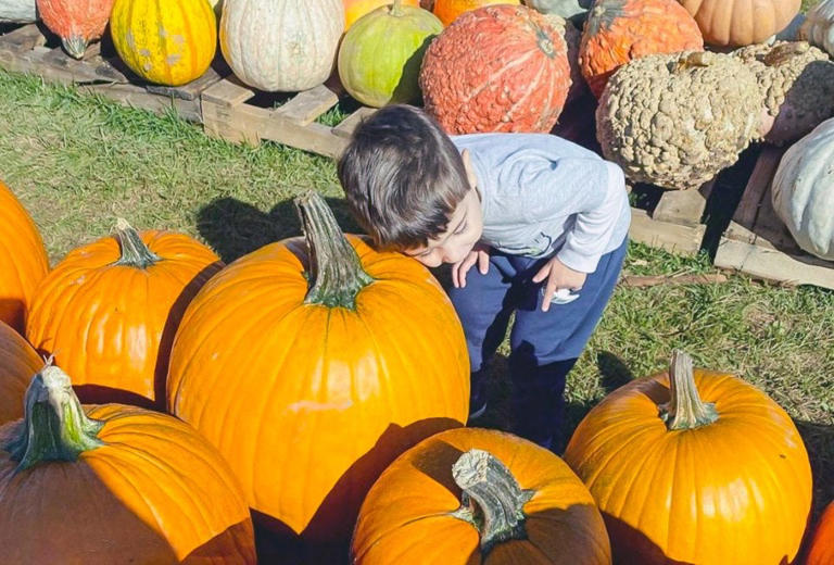Best Halloween Events in Connecticut 2025 for Kids and Families