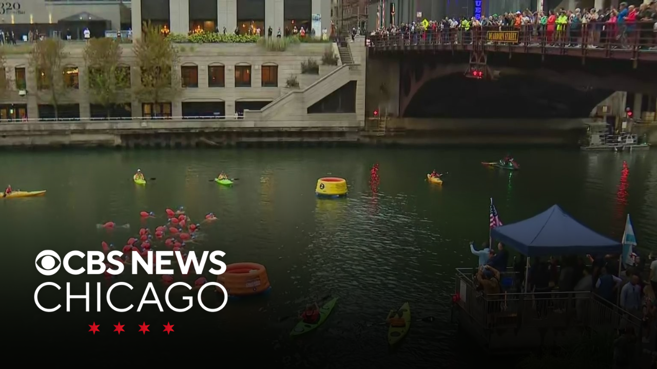 Hundreds take to Chicago River for first swim in nearly a century