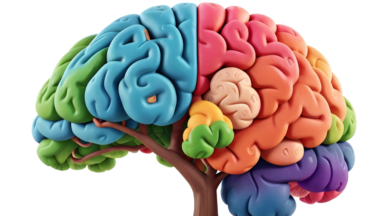 3 exercises that can rewire the brain and improve cognitive function ...