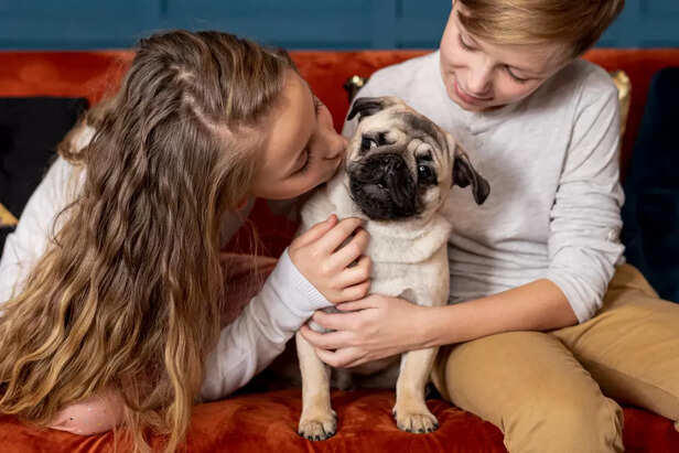 New to Pet Parenting? Learn About the Dogs That Are Beginner-Friendly!