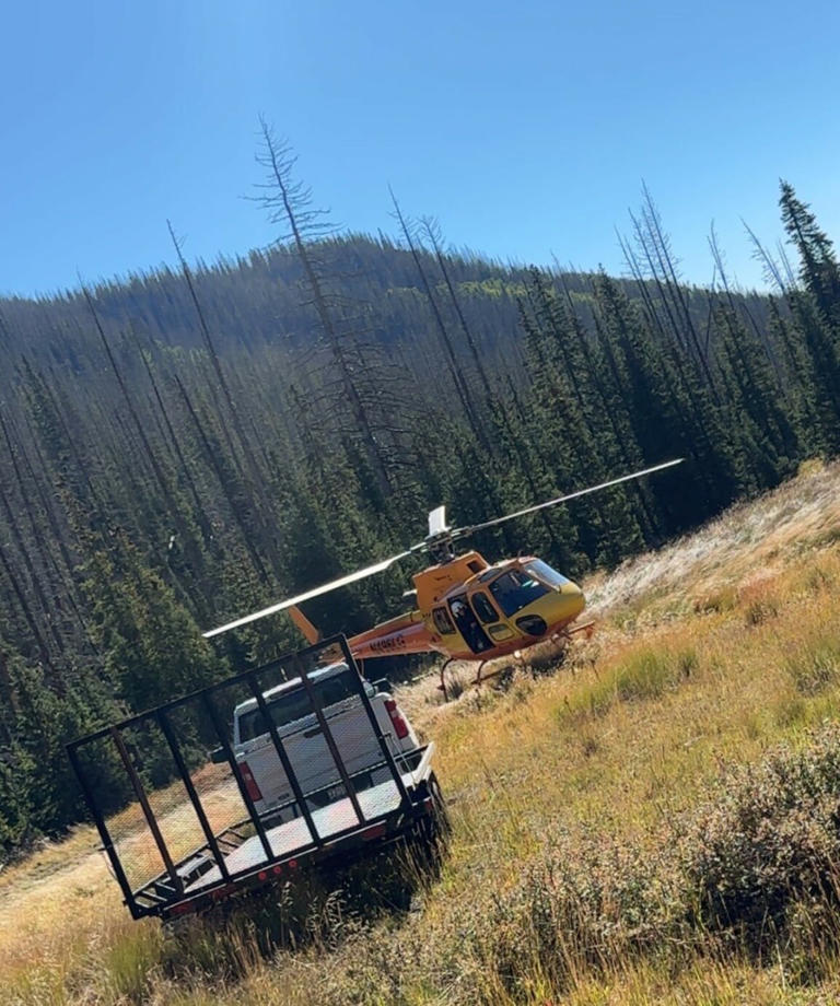 Two 25-year-old elk hunters found dead with no obvious signs of trauma ...