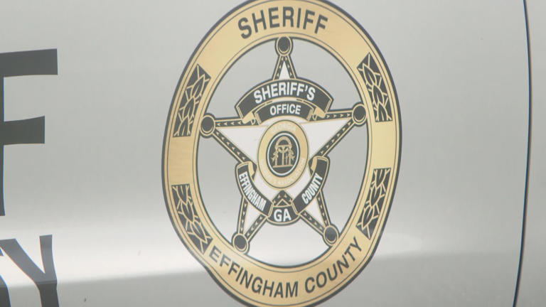 Effingham Co. Sheriff’s Office carries out ‘Operation Watchful Eye’