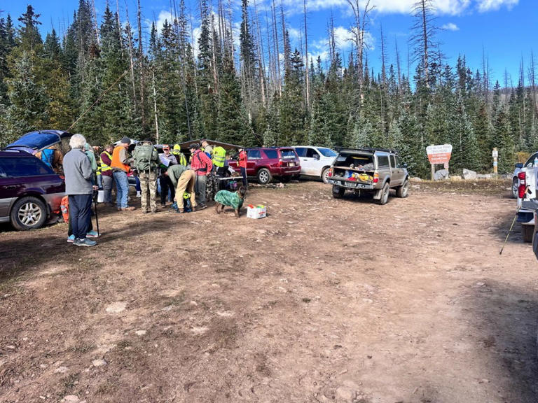 Two 25-year-old elk hunters found dead with no obvious signs of trauma ...