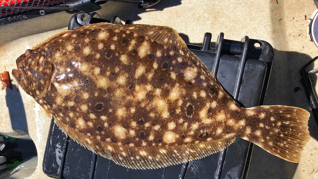 Fishing And Exploring The Hidden Side Of Ocean City