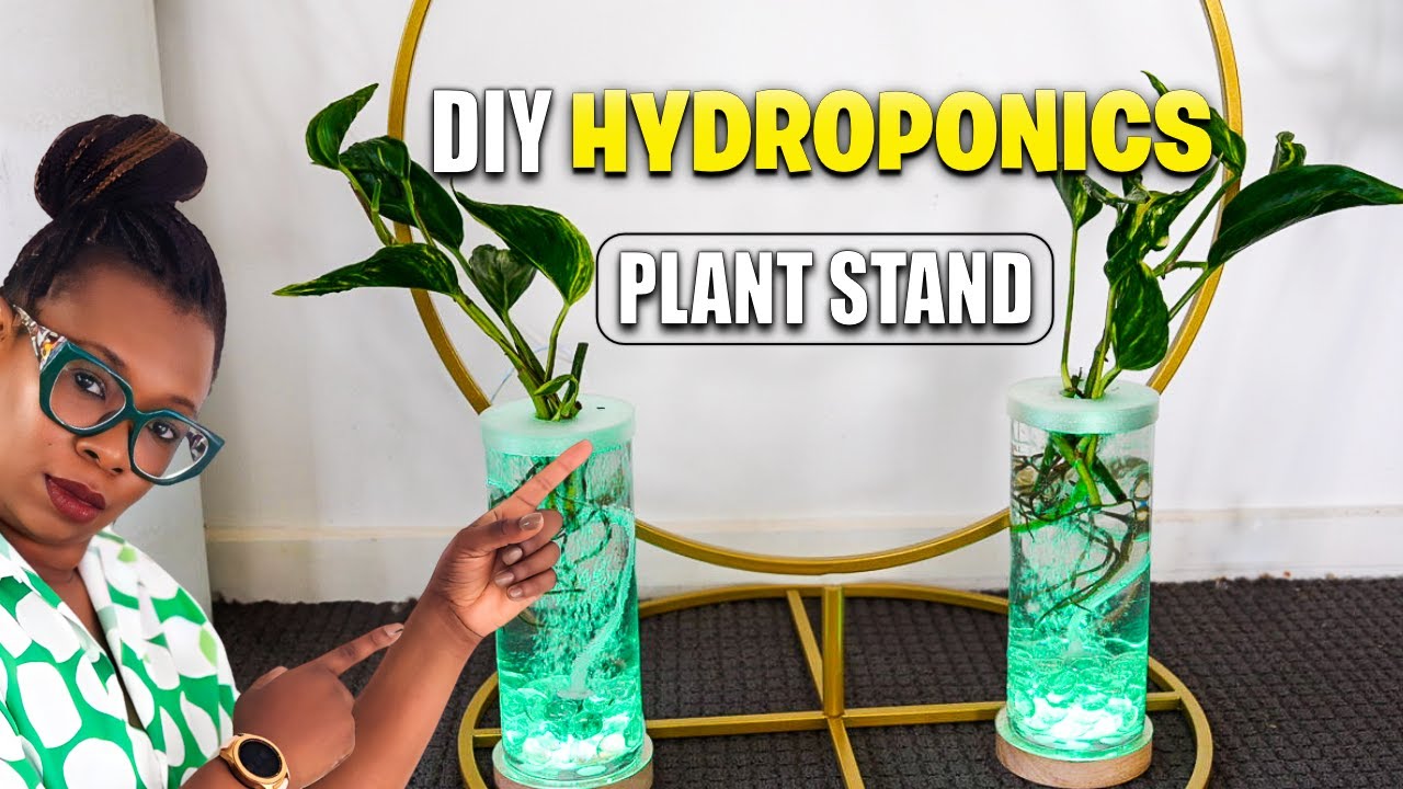 DIY Hydroponics Project: Creating a Glowing Plant Stand