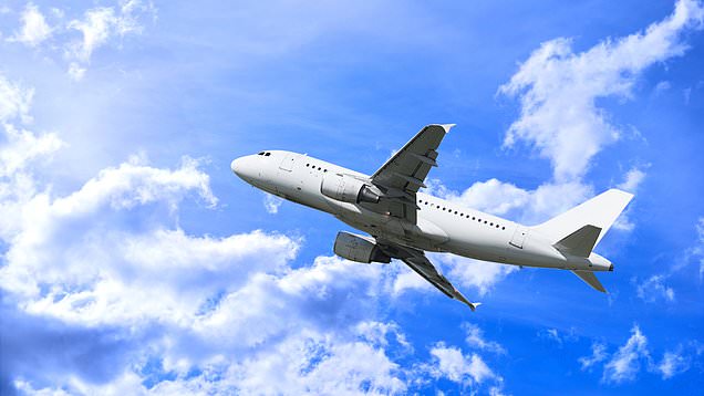 Kids react to first time flying