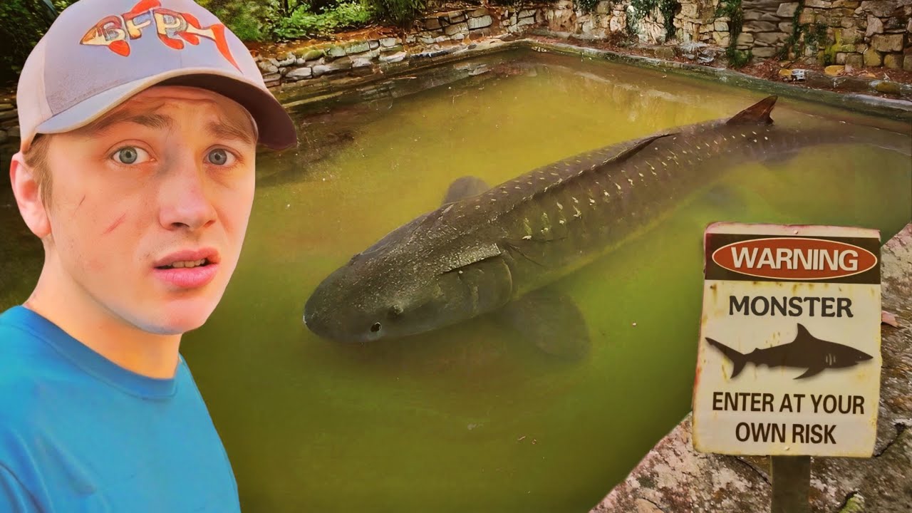 I discovered a forgotten pool full of giant fish
