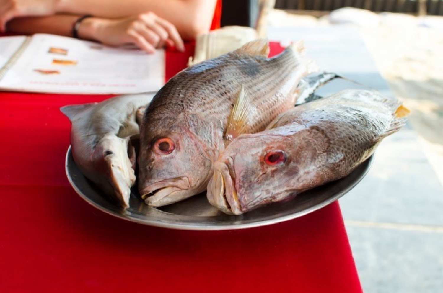 8 Pescados a evitar si no quieres comer mercurio (ni otras sustancias)