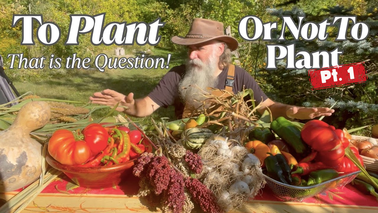 6 Years of Growing Our Own Food: What to Do Differently Pt 1