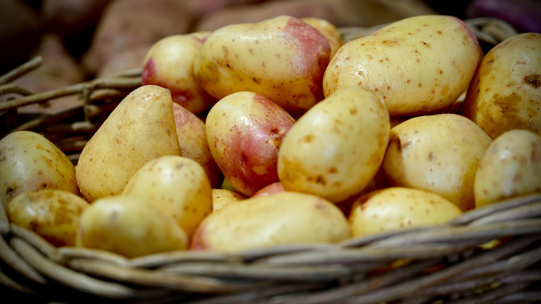 Potato mop-top virus detected in Victoria for first time, industry says