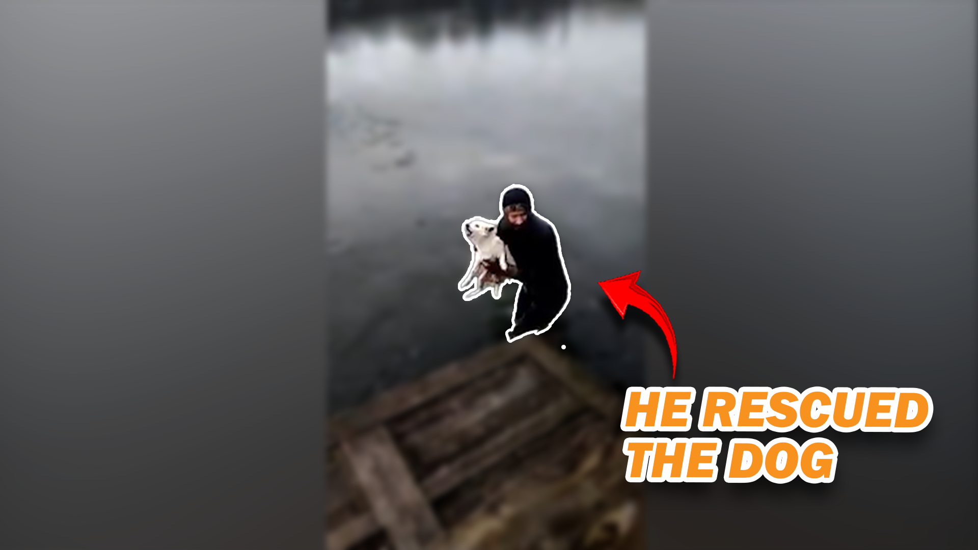 Footage of an Animal Rescue