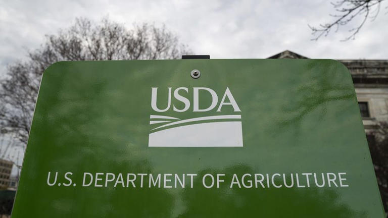 USDA releases Farmer Bridge Assistance program payment rates