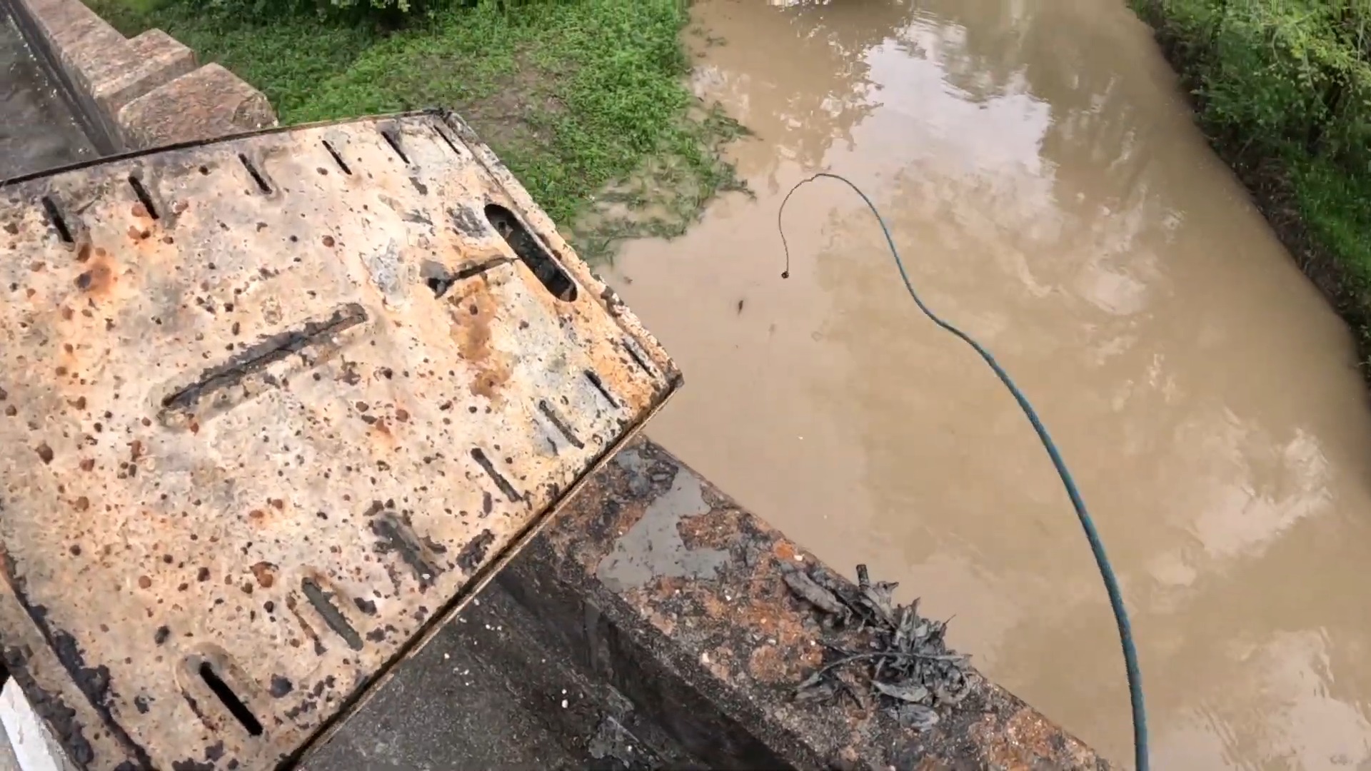What We Pulled Out of the Water Could Be Full of Cash