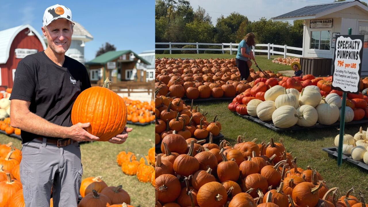 Basse’s Farms bounces back from historic floods in time for pumpkin ...