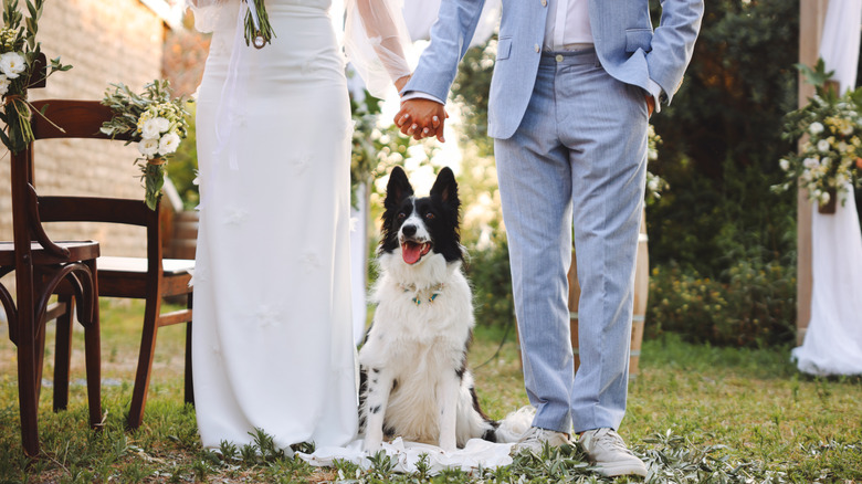 The secret fortunes of powerful world leaders