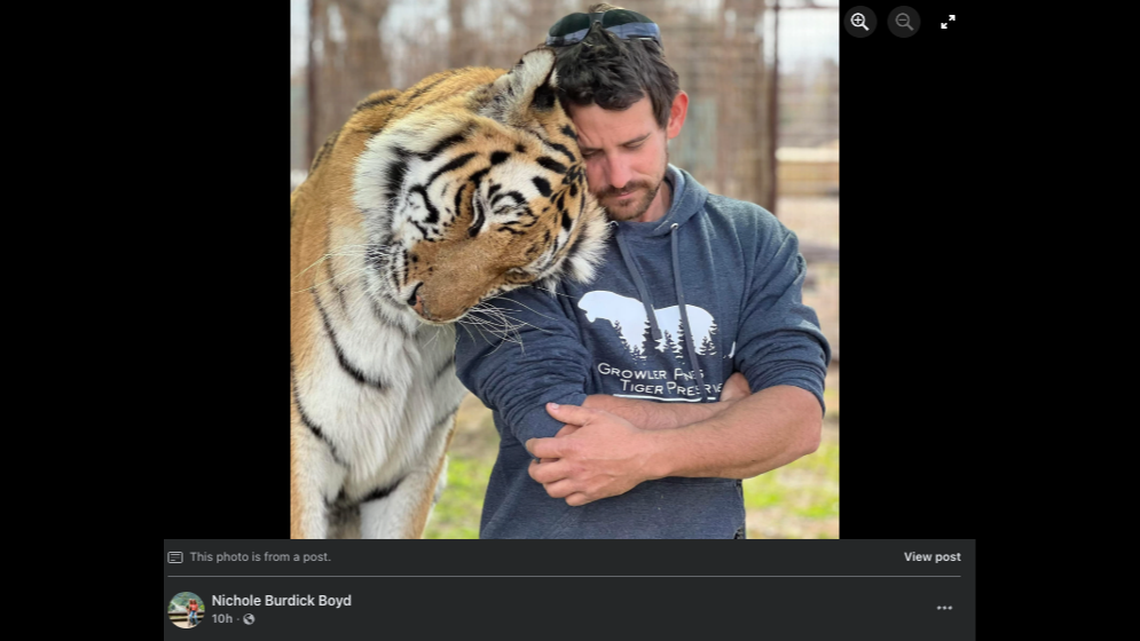 Beloved handler killed in tiger attack, OK preserve says. ‘A horrible ...