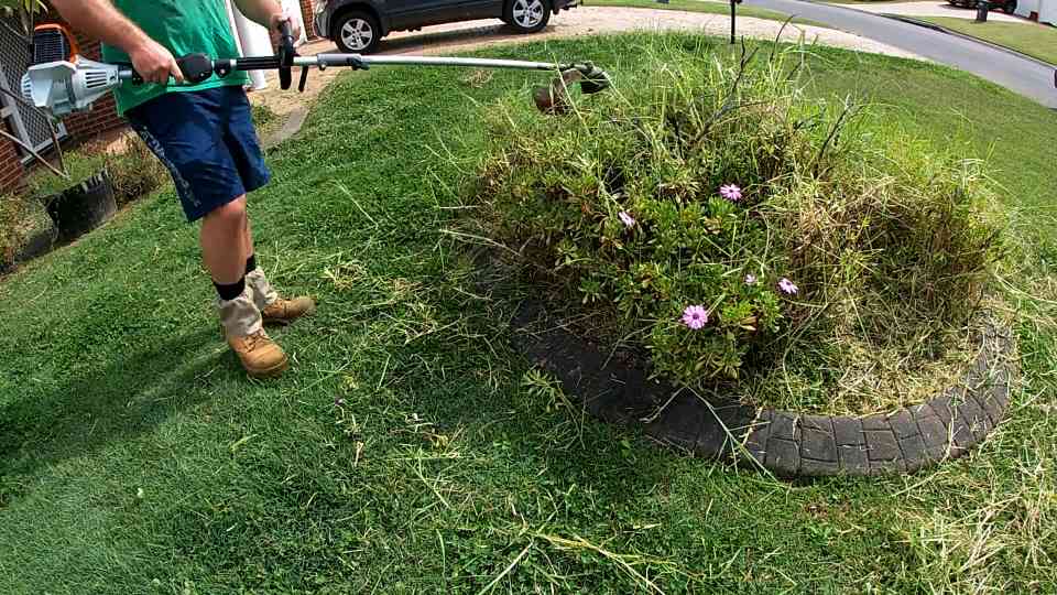 Why Rover outperforms Honda in Australian lawn conditions