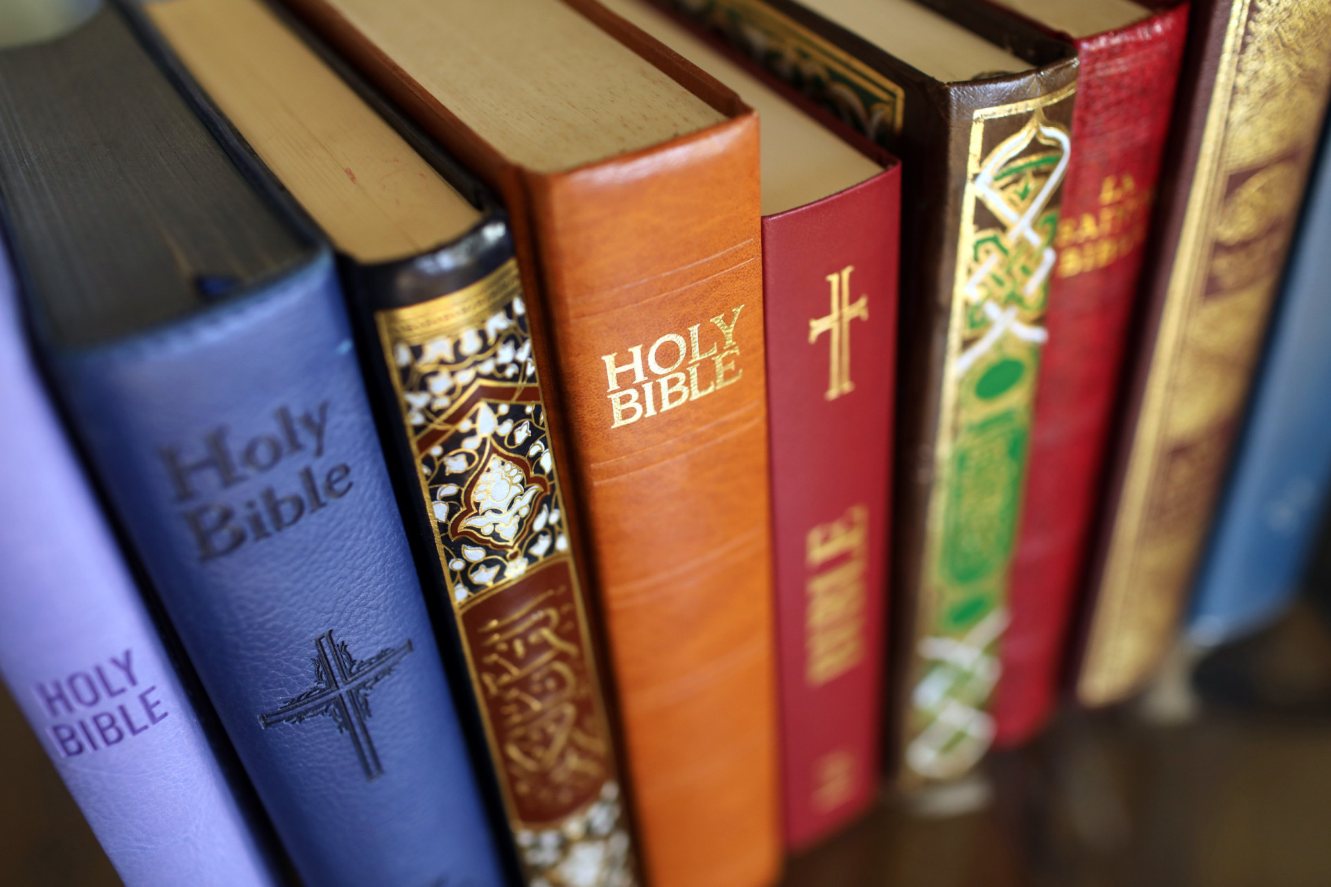 The 14 books left out of the Bible