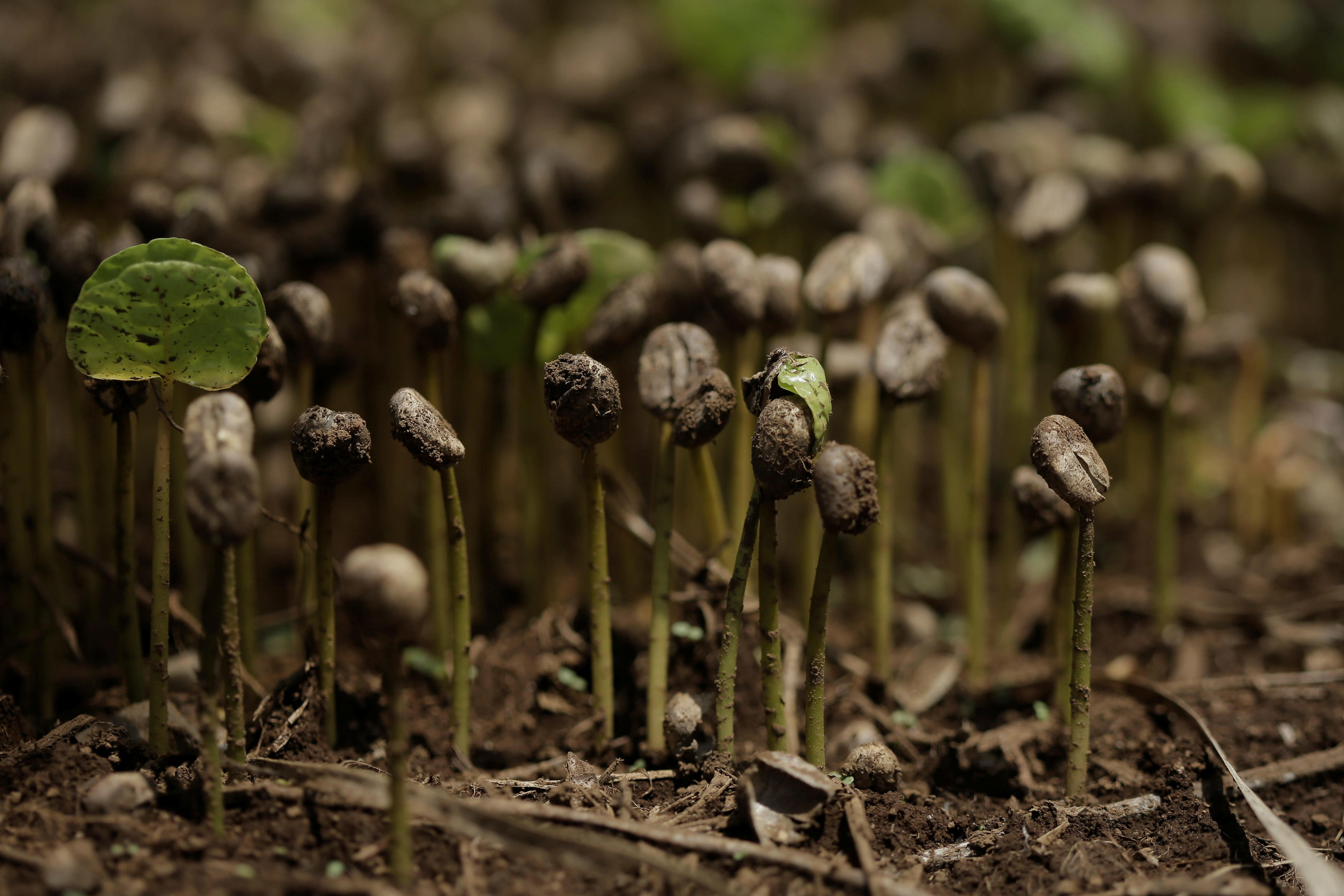 Scientists pinpoint locations where Earth's seasons are mysteriously ...