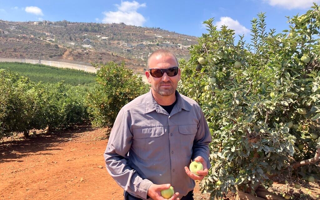 In war-ravaged northern Israel, farmers replant apple trees hoping for ...