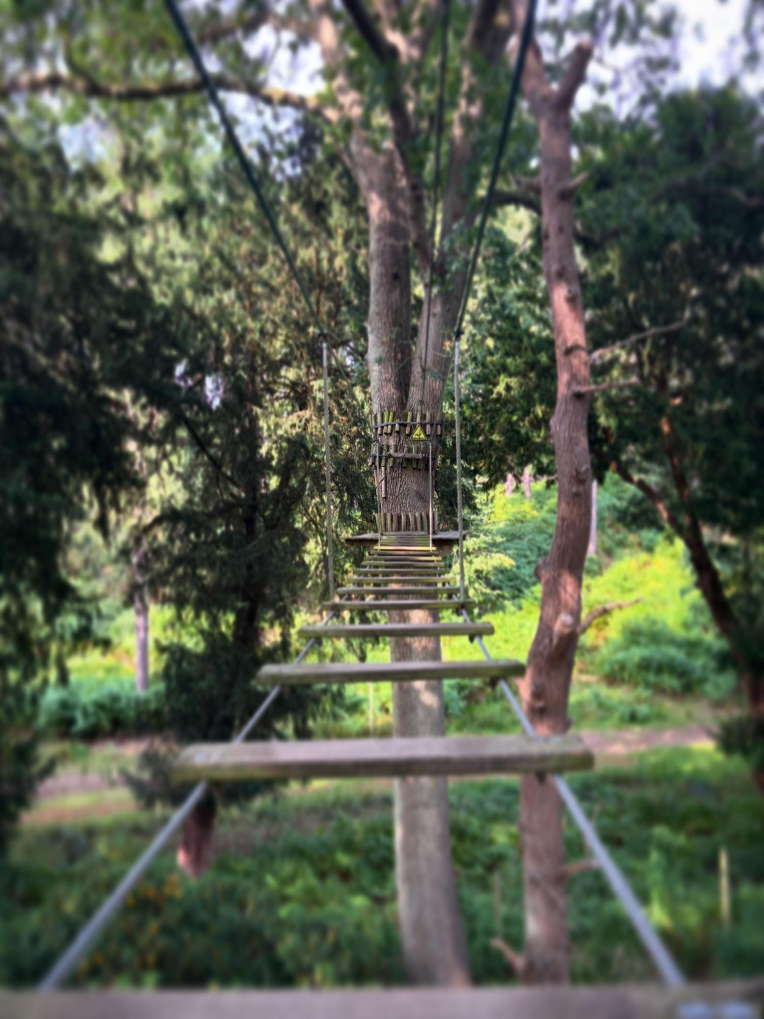 October Half Term fun!