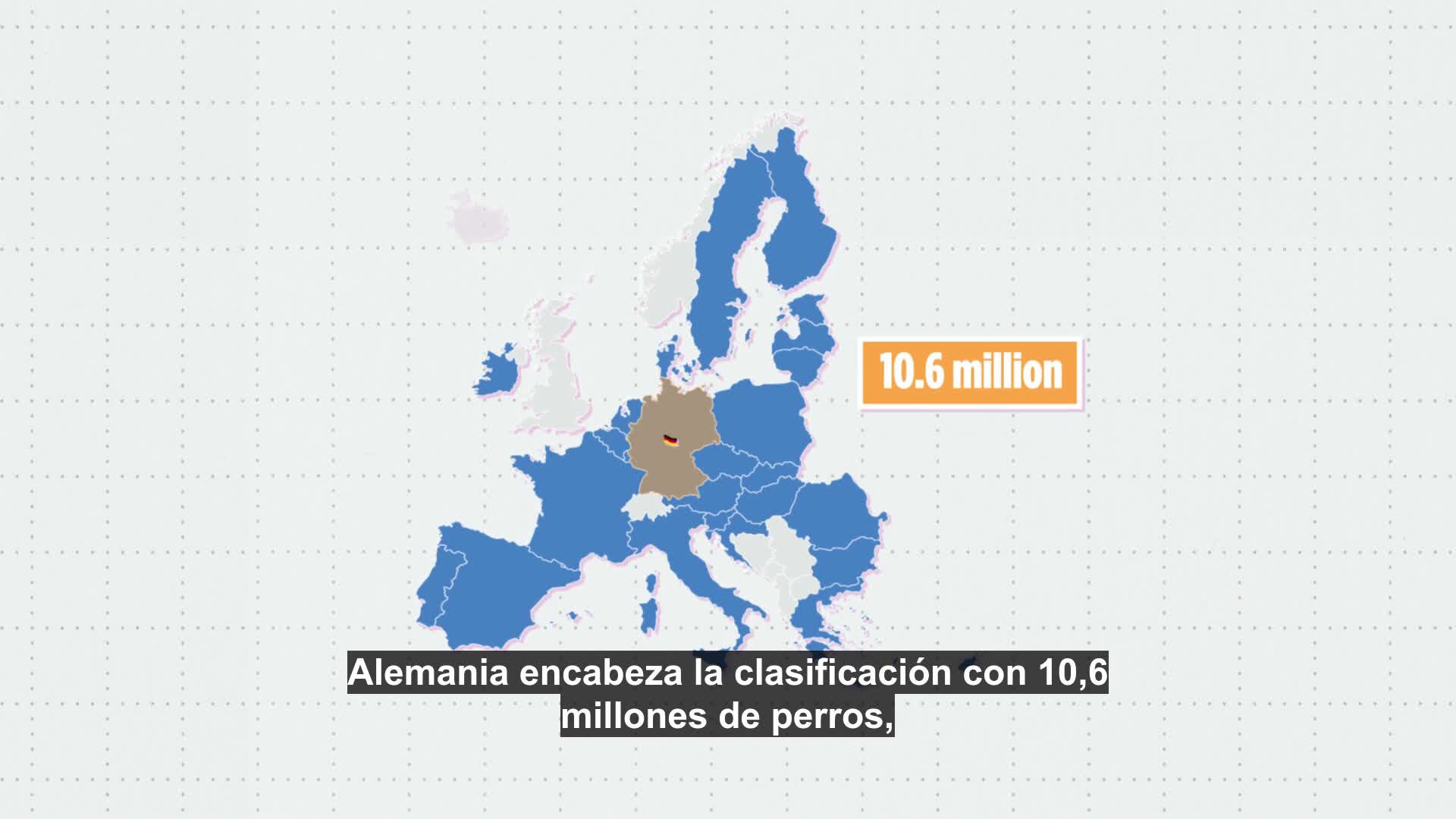 Perros de mascota: ¿En qué país de la UE es más popular el mejor amigo ...