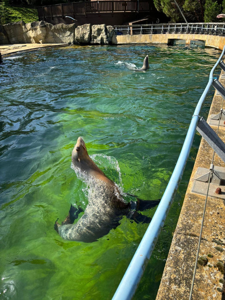 October Half Term fun!