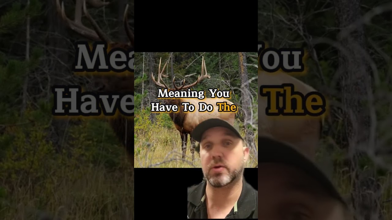 Texas Elk Hunting: The Laws