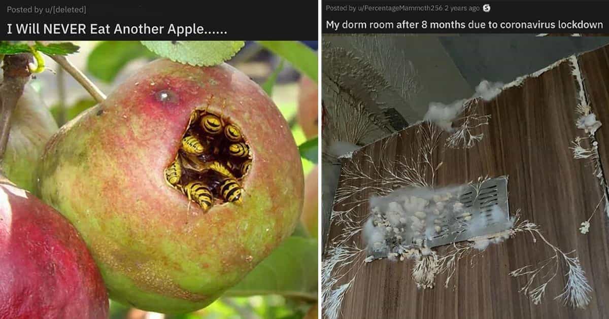 Mildly disturbing pictures that get creepier the longer you stare
