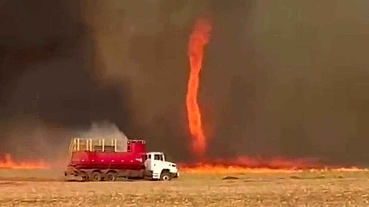 Extremely rare 'firenado' sweeps through sugarcane field in Brazil