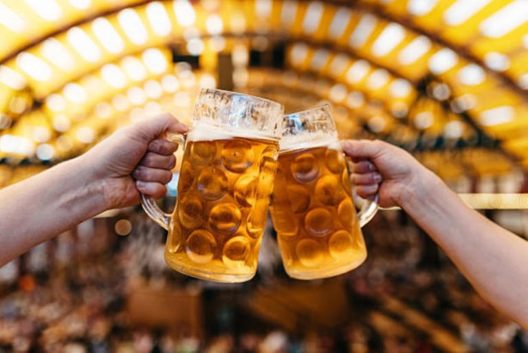 What is the German Beer Purity Law of 1516 and why does it still matter?
