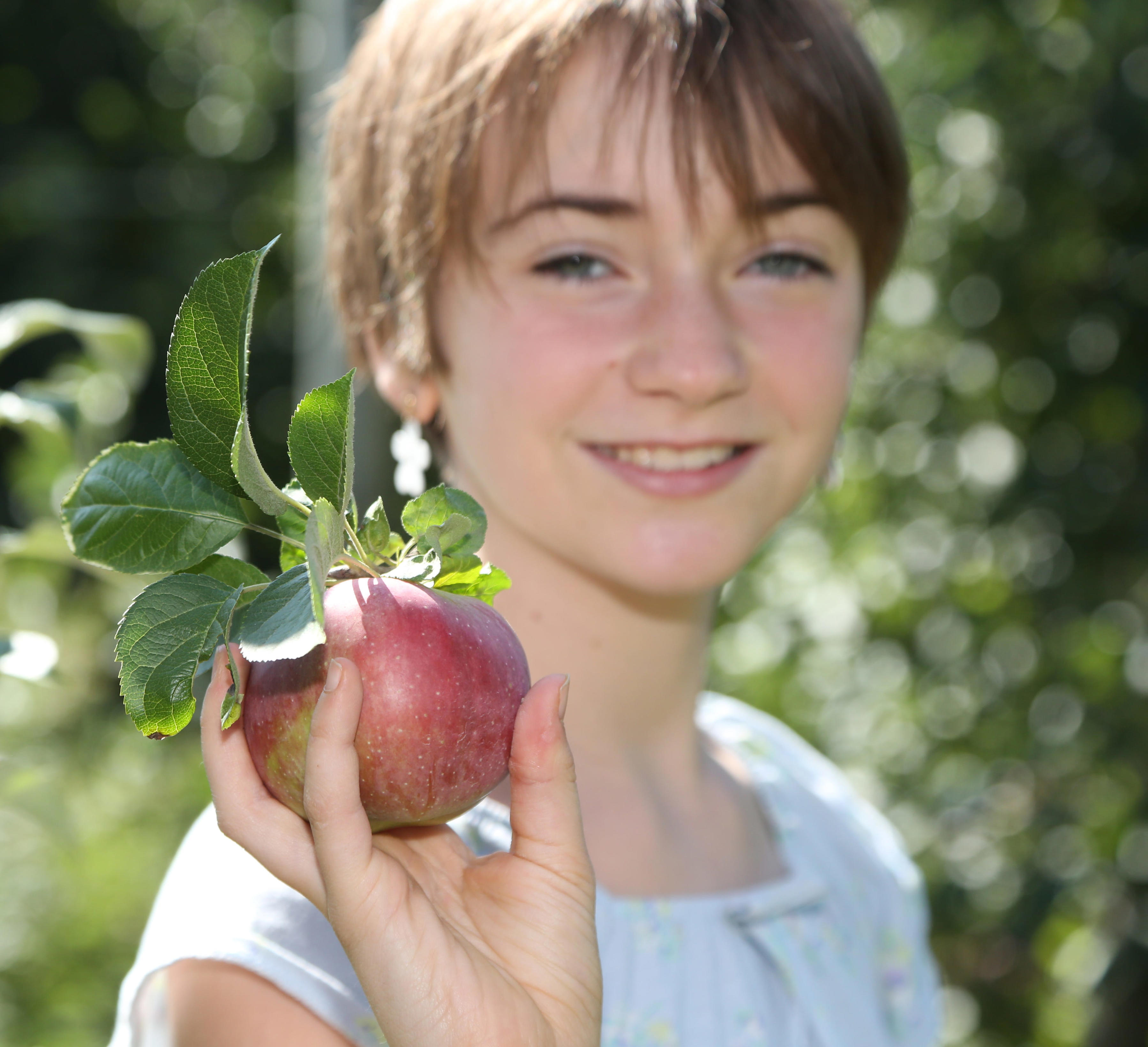 Here are some of the best places to go apple picking in NJ this fall