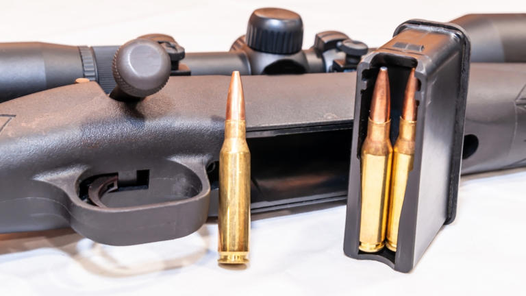 Calibers hunters overestimate every single fall