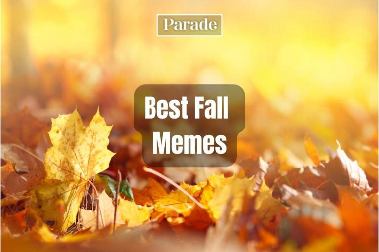 40 Hilarious Fall Memes That Every Autumn Lover Will Relate To