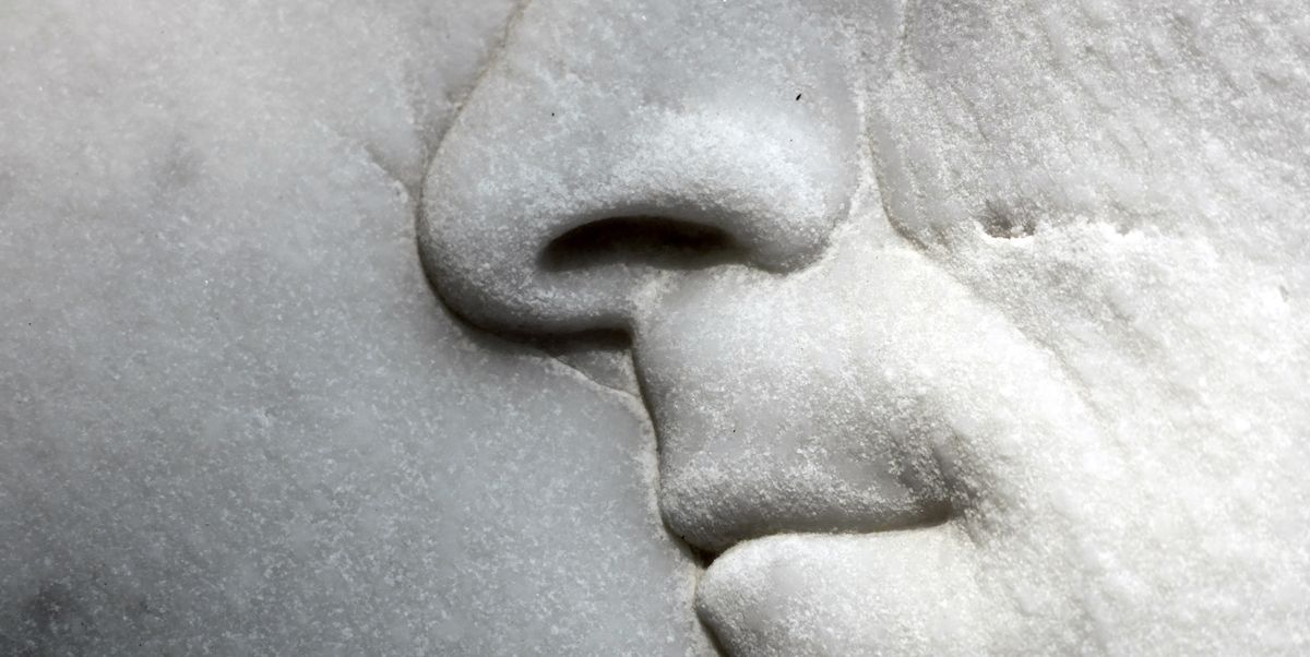 Firefighters went on a routine patrol—and stumbled upon a breathtaking ...