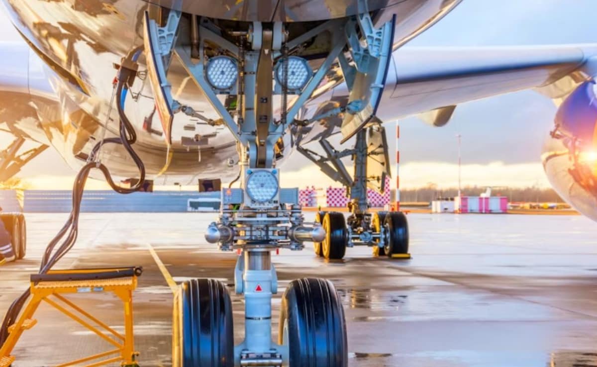 Afghan Boy, 13, Lands In Delhi By Hiding In Plane's Landing Gear